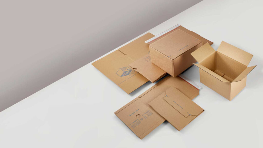 Single & Double Wall Boxes - Hazel 4D