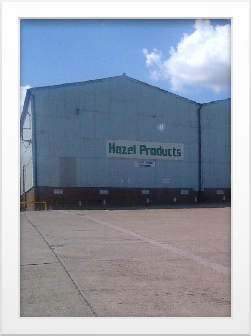 Our Story - Hazel 4D