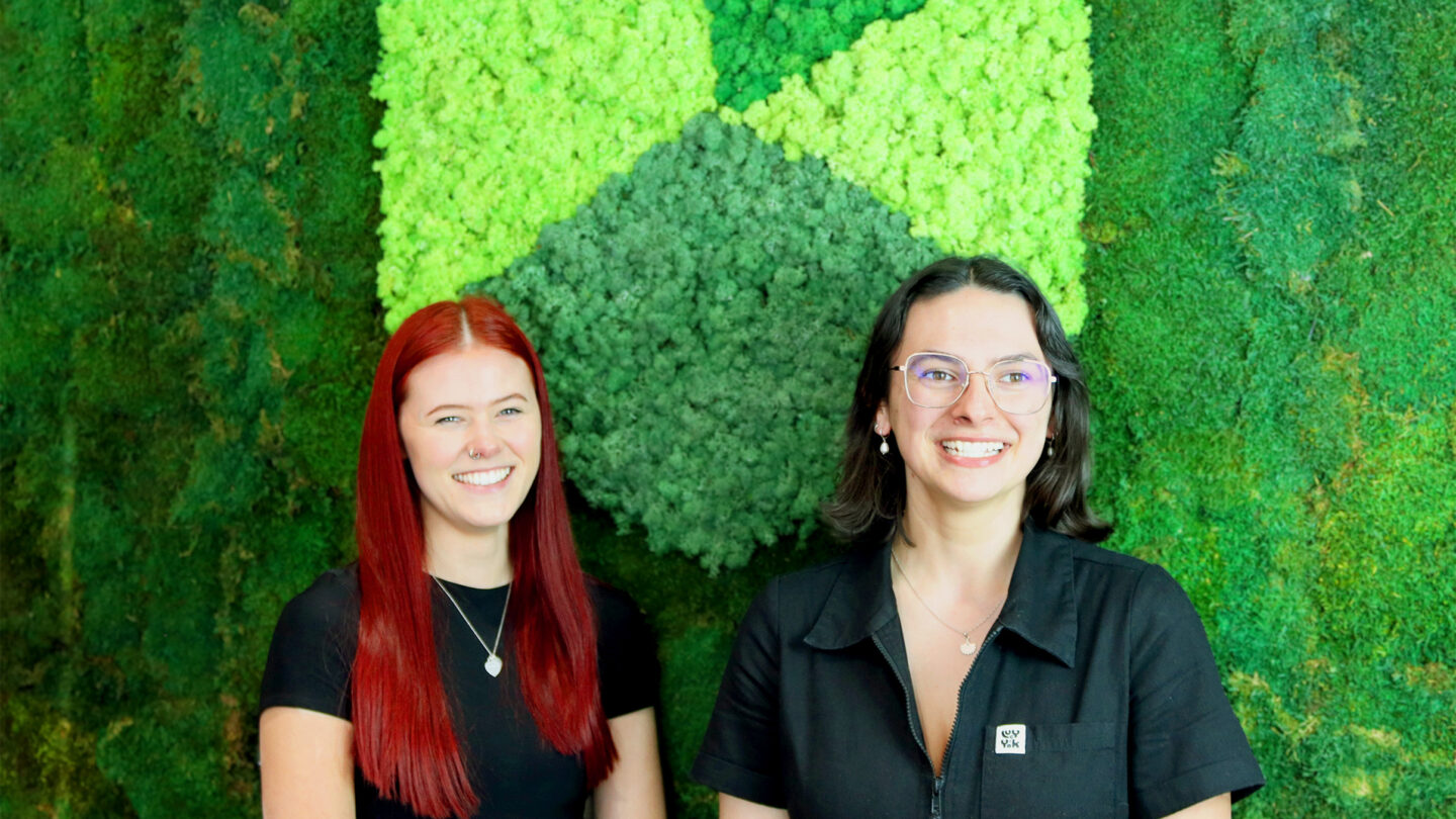 Hazel 4D - Unrivalled Packaging Expertise